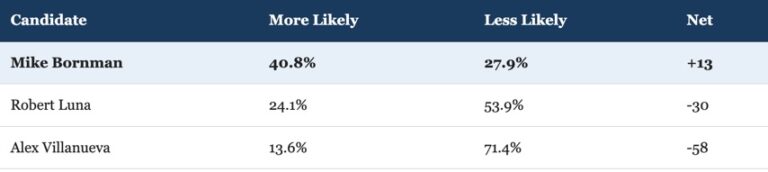 Captain Mike Bornman Leads LA County Sheriff Race After Voters Learn ...