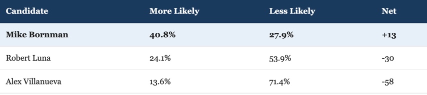 Captain Mike Bornman Leads LA County Sheriff Race After Voters Learn ...
